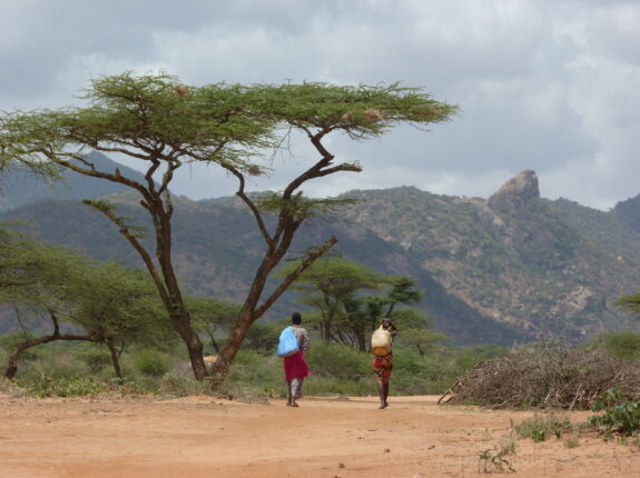 Drought situation continues to deteriorate in Kenya – Alliance